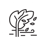 Homewood Consulting | Experienced and qualified consulting arborists